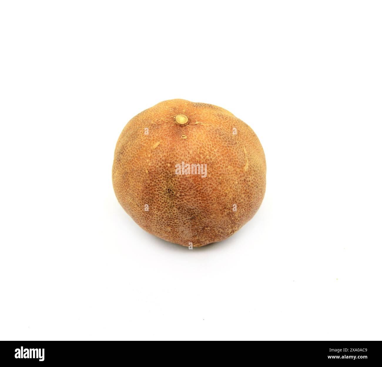 iranian dried whole limes, persian cooking ingredients Stock Photo - Alamy