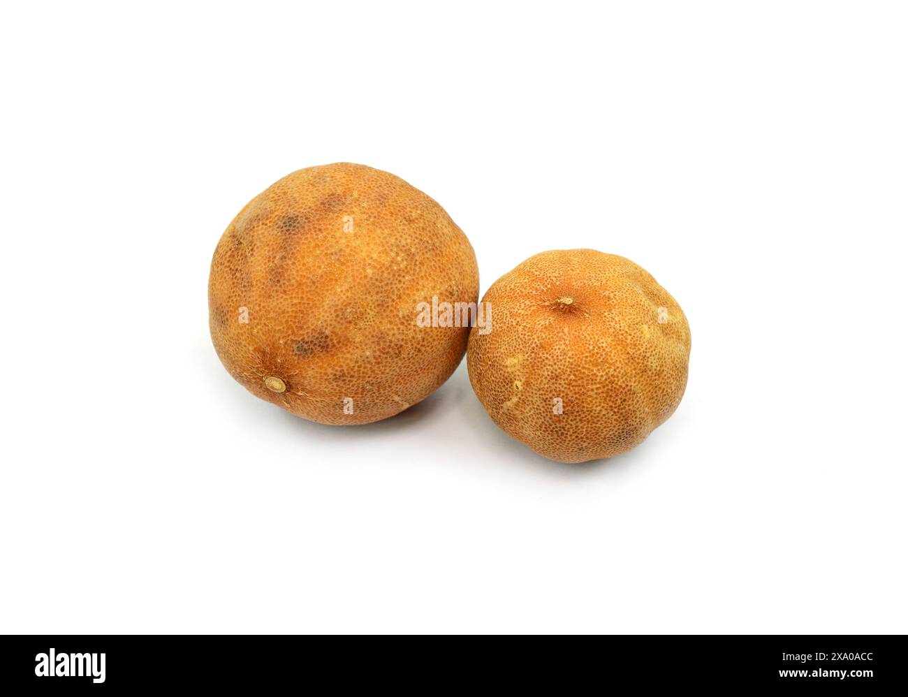 iranian dried whole limes, persian cooking ingredients Stock Photo - Alamy