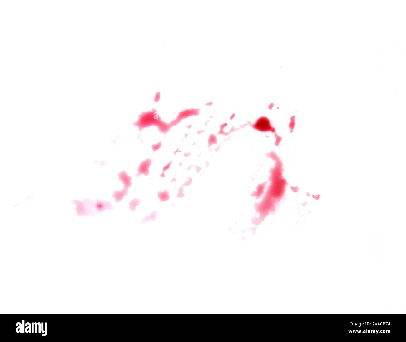 Spilled red wine puddle isolated on white background. Red wine puddle ...