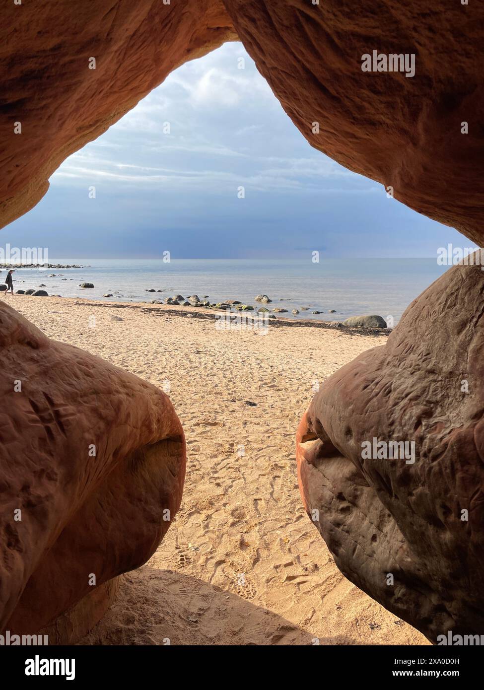 A marshland scenery with a beach and coastline Stock Photo - Alamy