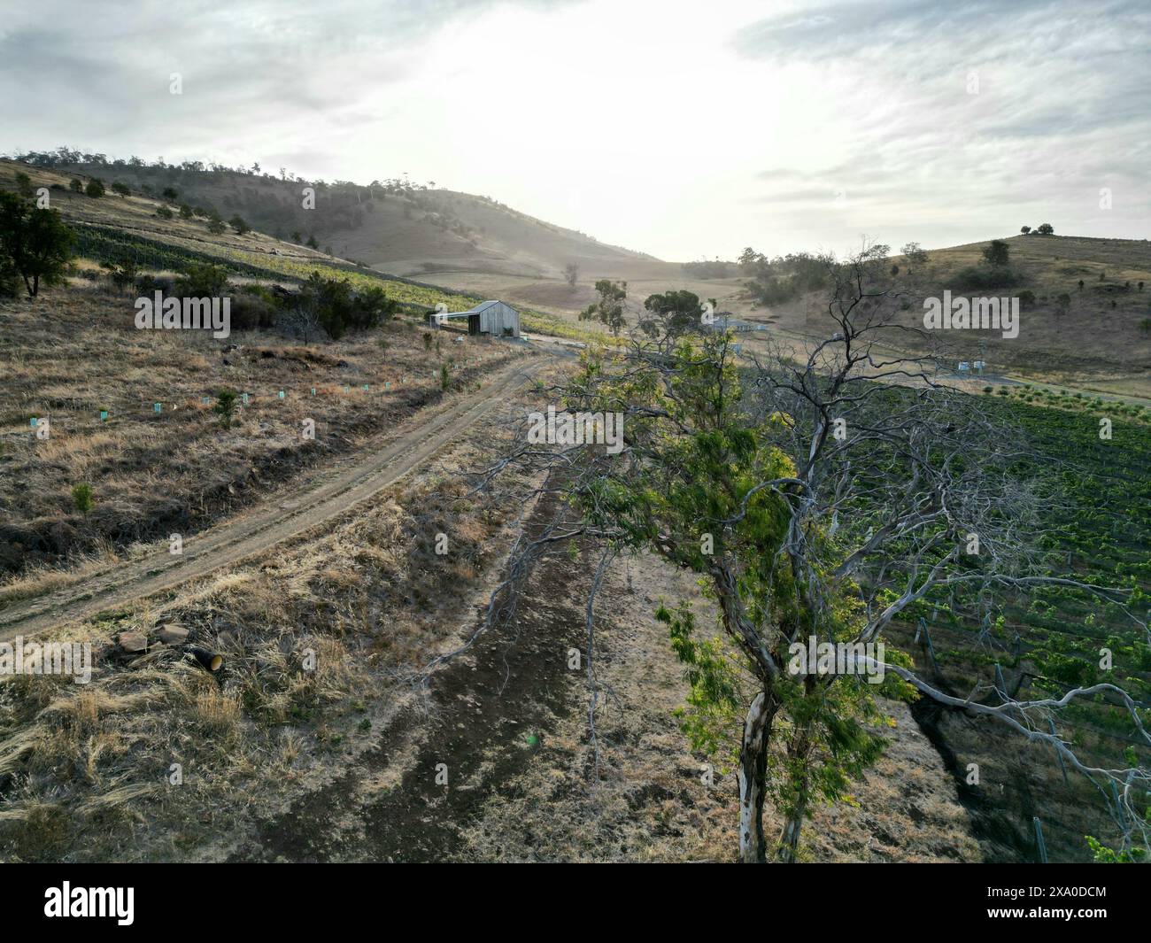Coal australia hi-res stock photography and images - Alamy