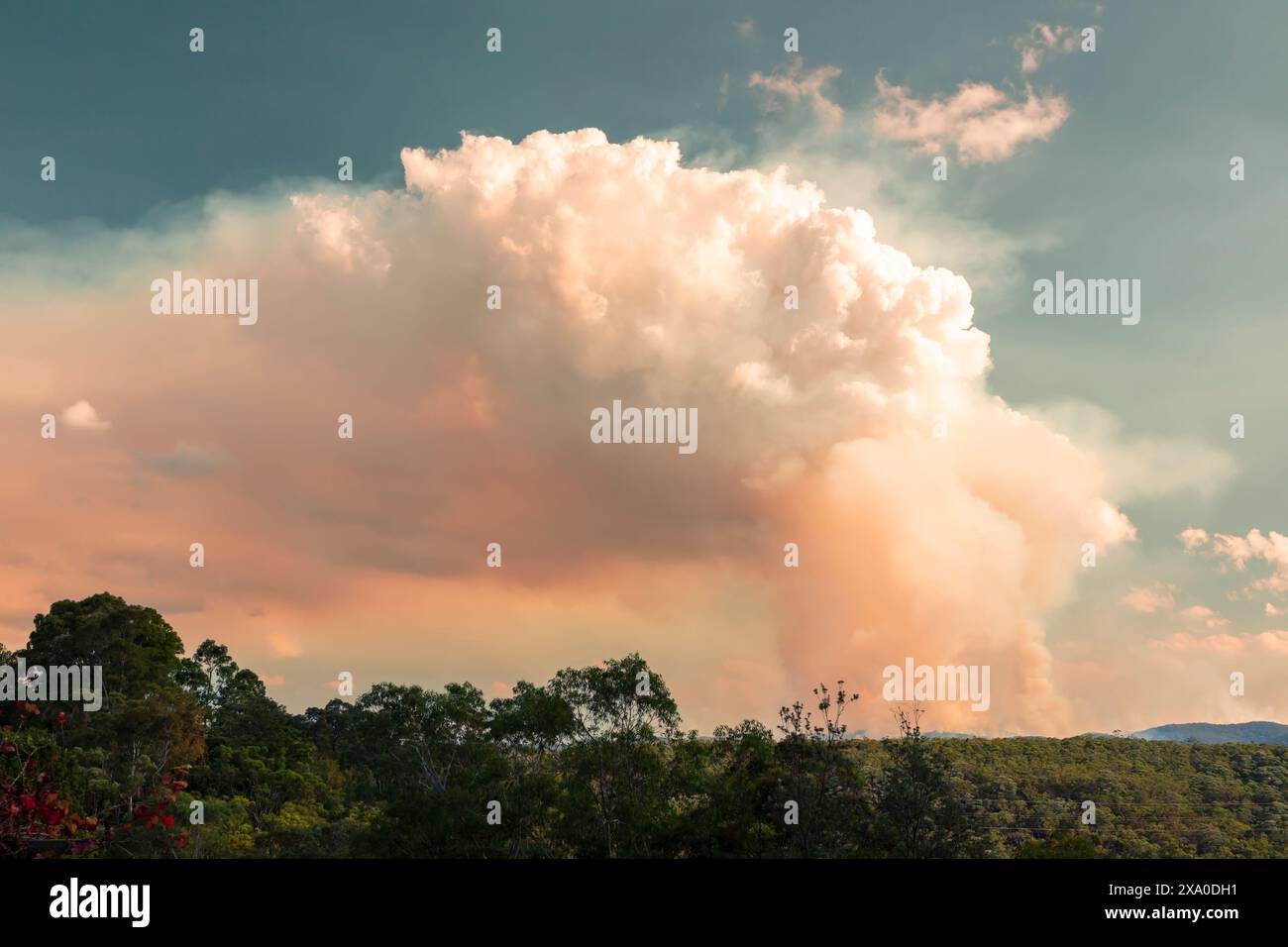 Photograph of controlled bush fire hazard reduction burning by the ...