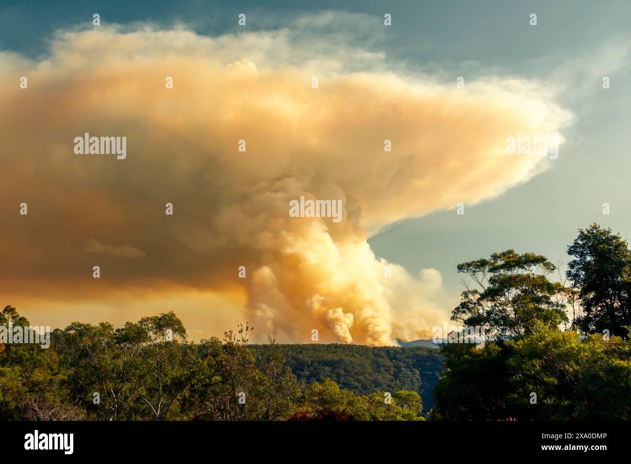 Photograph of controlled bush fire hazard reduction burning by the ...