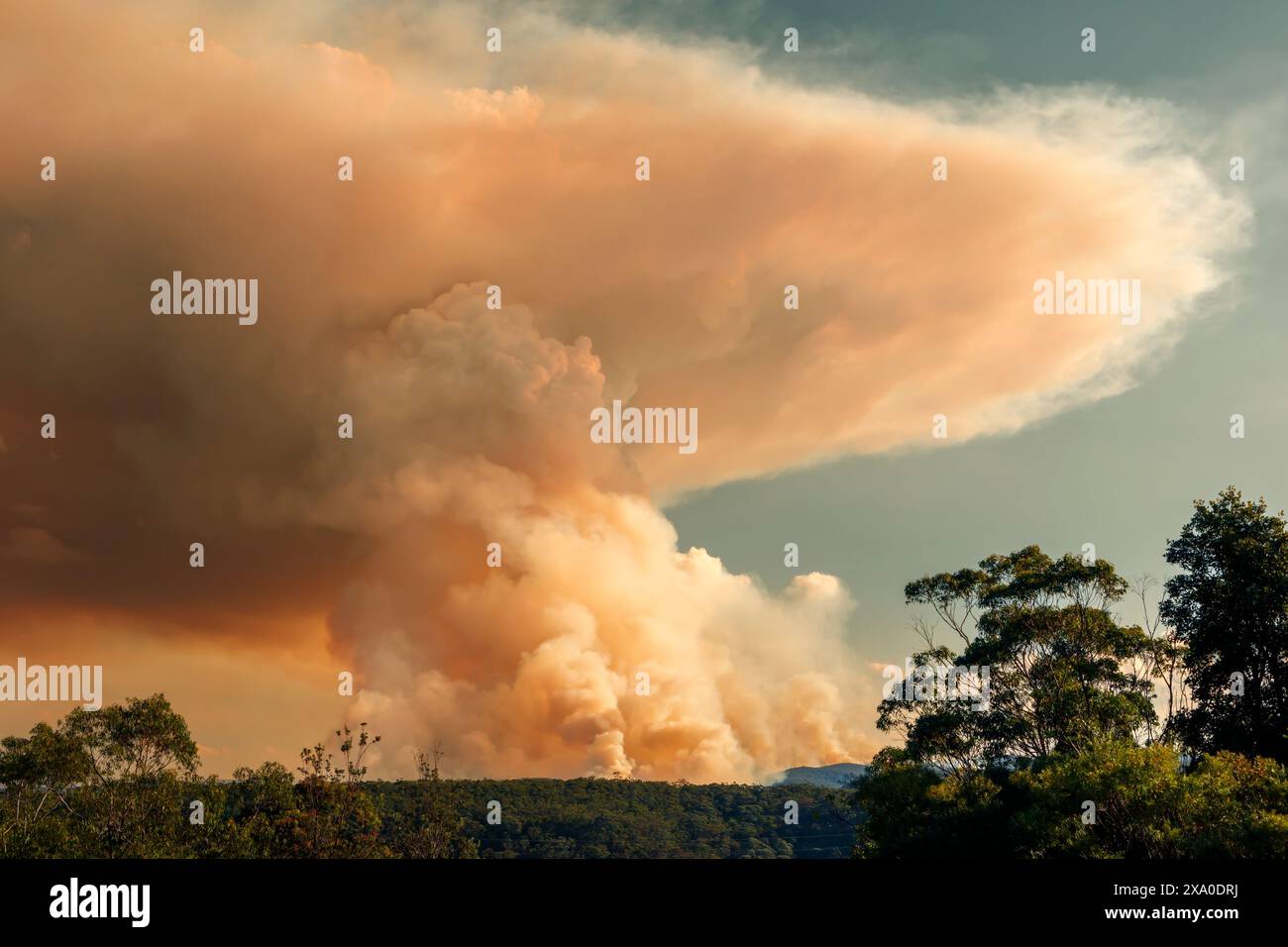 Photograph of controlled bush fire hazard reduction burning by the ...