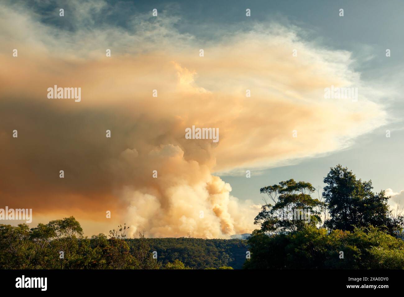 Photograph of controlled bush fire hazard reduction burning by the ...