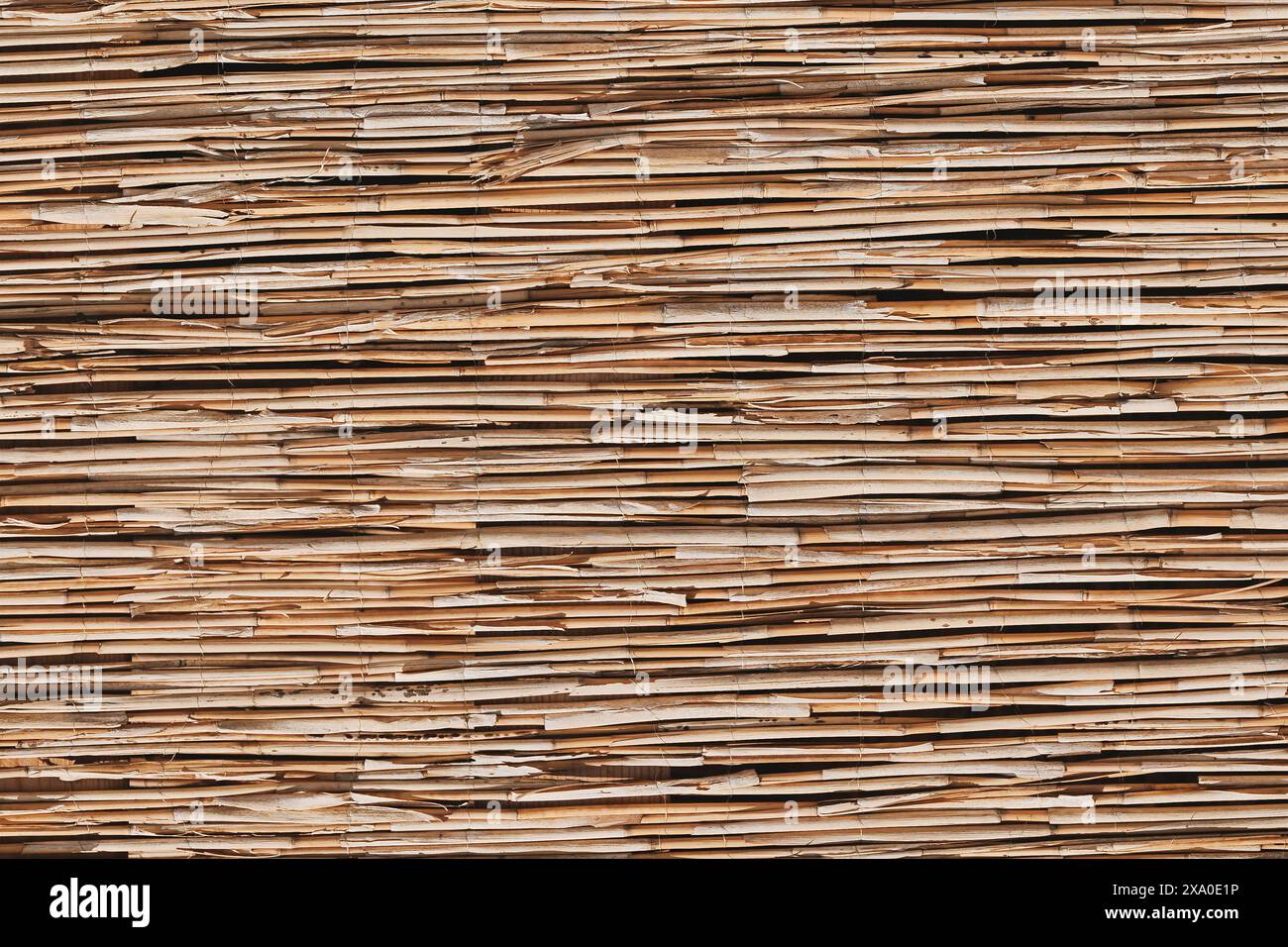 Handmade fence made of dried reeds as background. Backdrop of straw ...