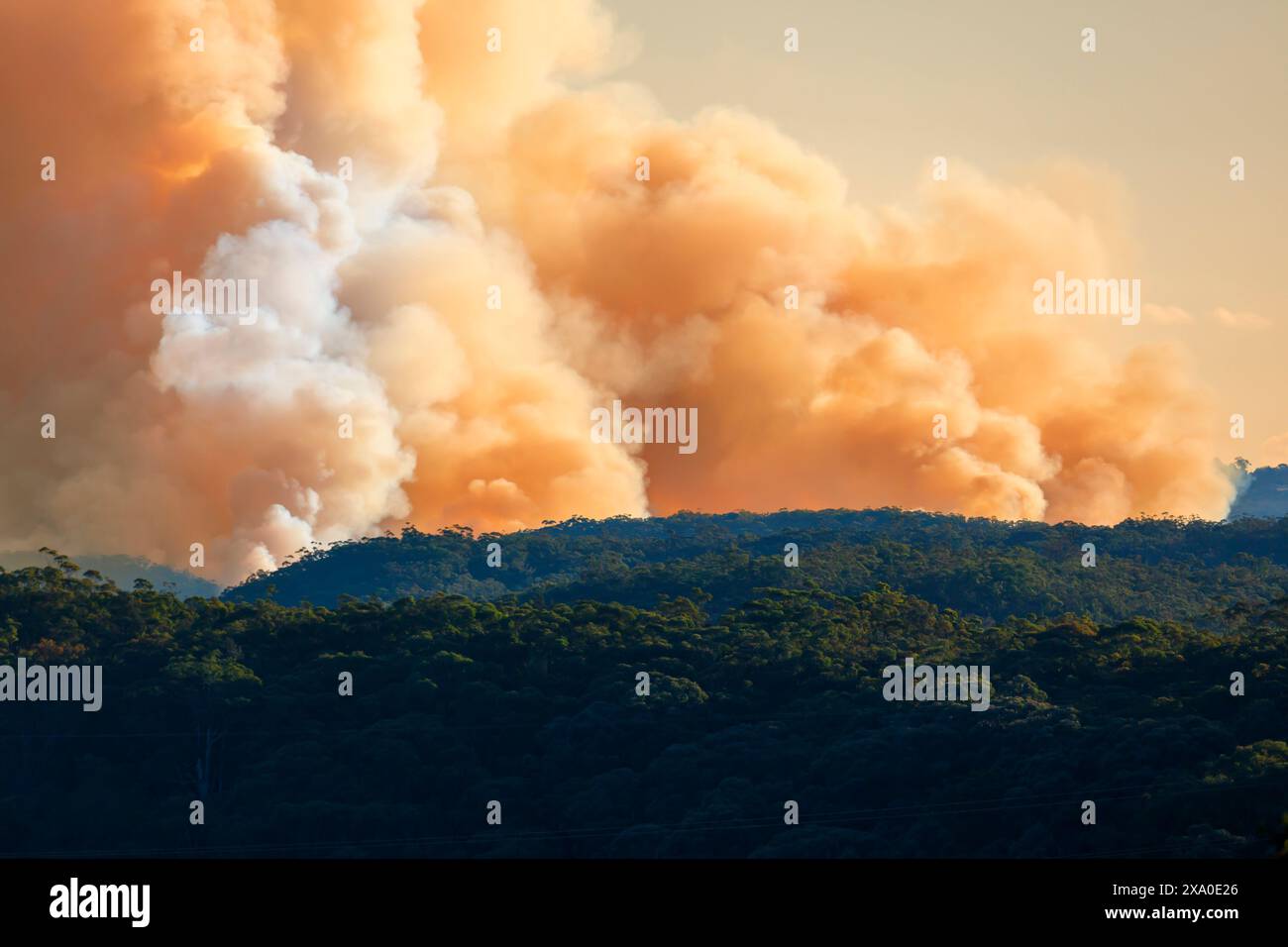 Photograph of controlled bush fire hazard reduction burning by the ...