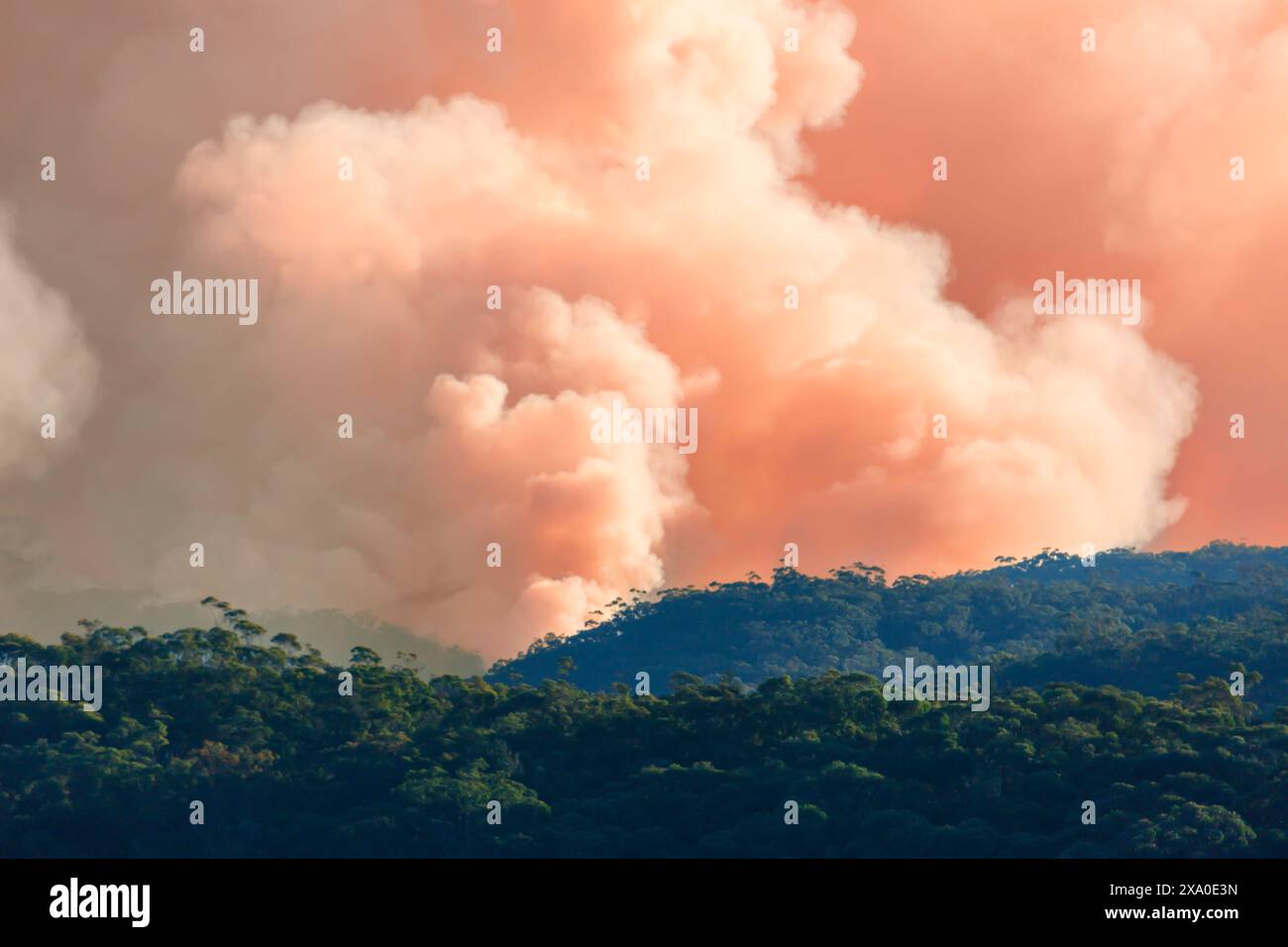 Photograph of controlled bush fire hazard reduction burning by the ...