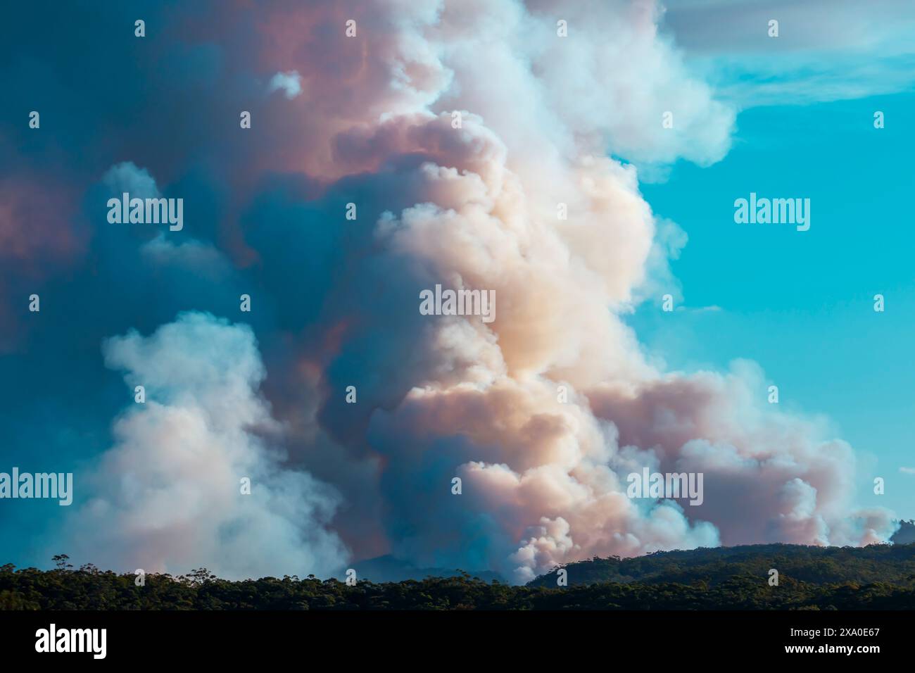 Photograph of controlled bush fire hazard reduction burning by the ...