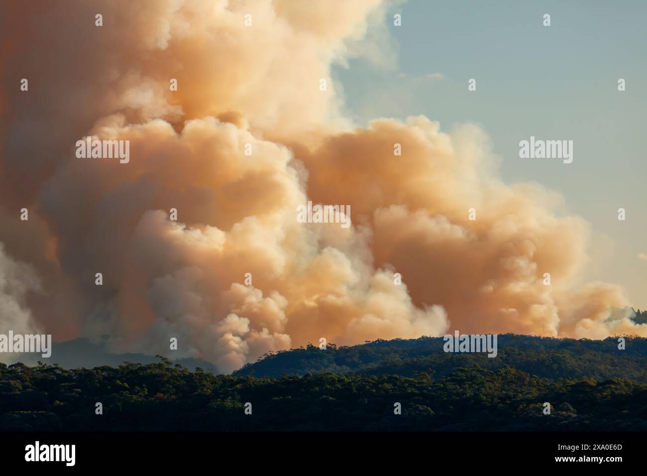 Photograph of controlled bush fire hazard reduction burning by the ...