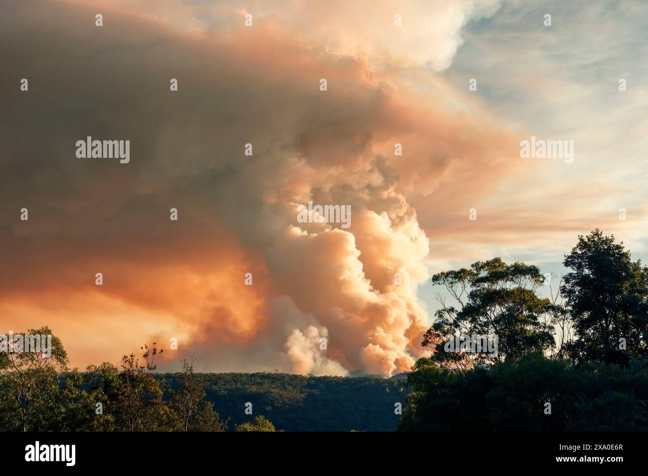 Photograph of controlled bush fire hazard reduction burning by the ...