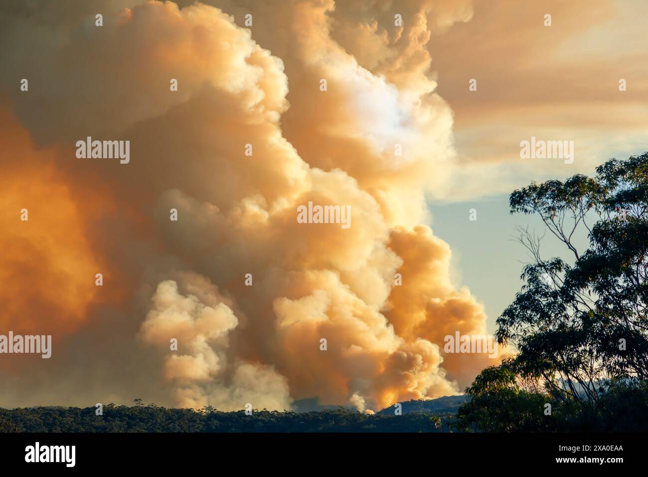 Photograph of controlled bush fire hazard reduction burning by the ...