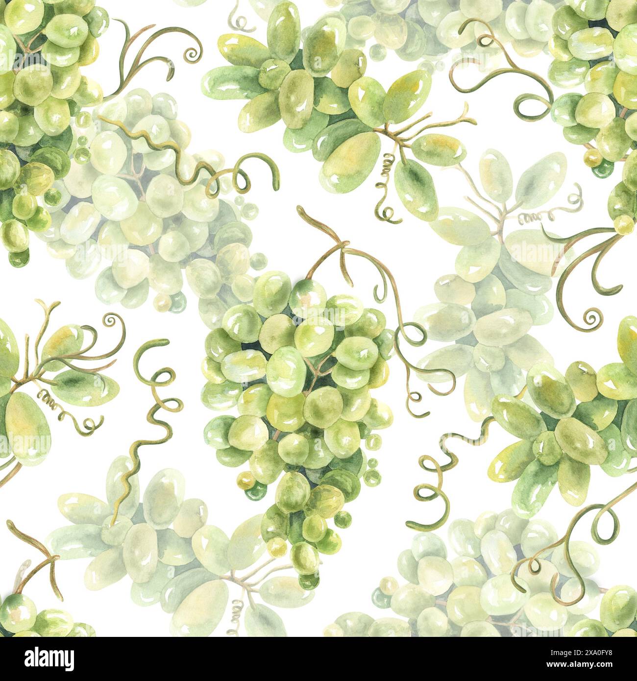 Green grapes, vine watercolor, seamless pattern. Hand drawn. For ...
