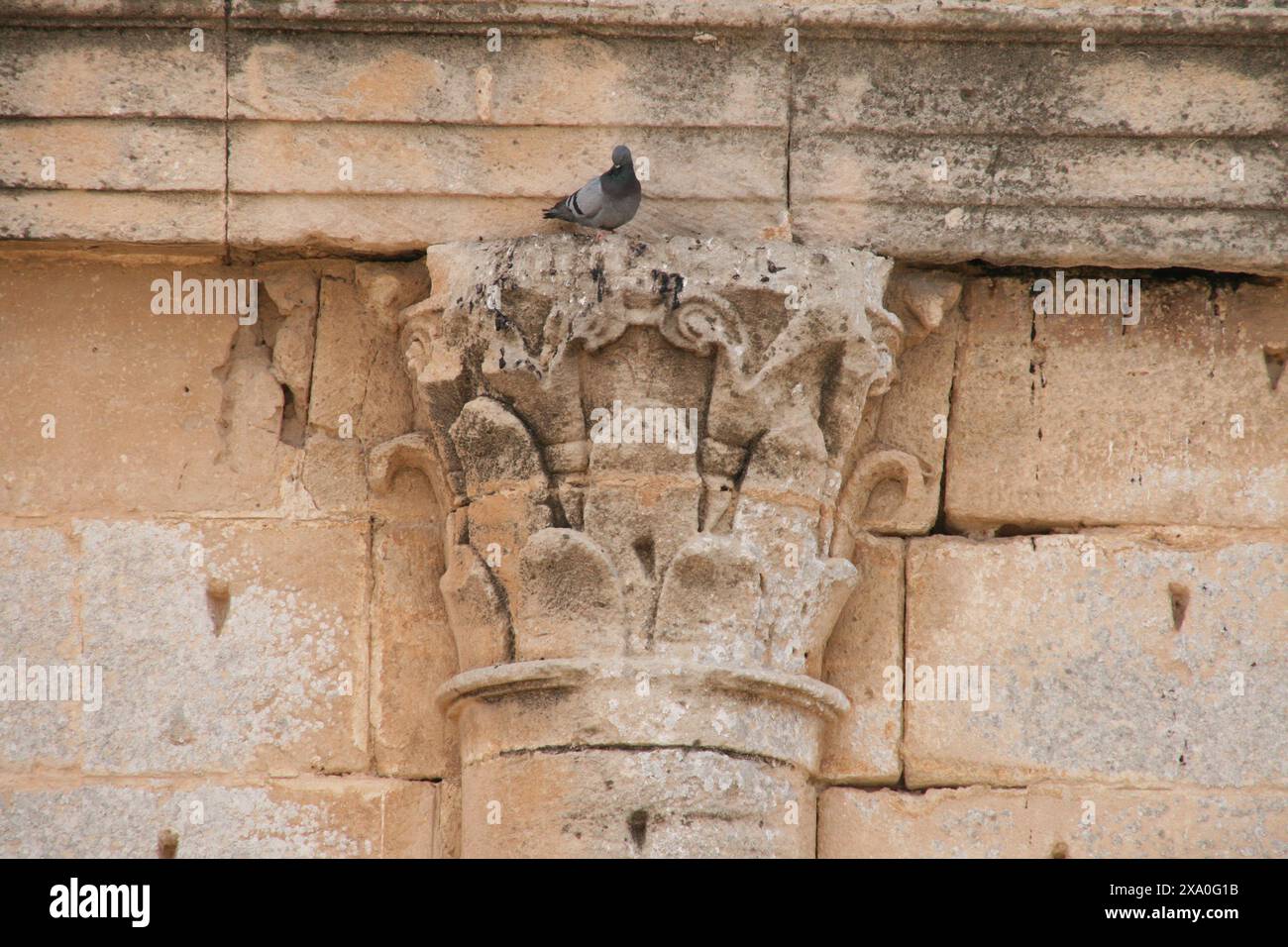 A lifelike stone animal statue appears perched atop a tall brick pillar ...