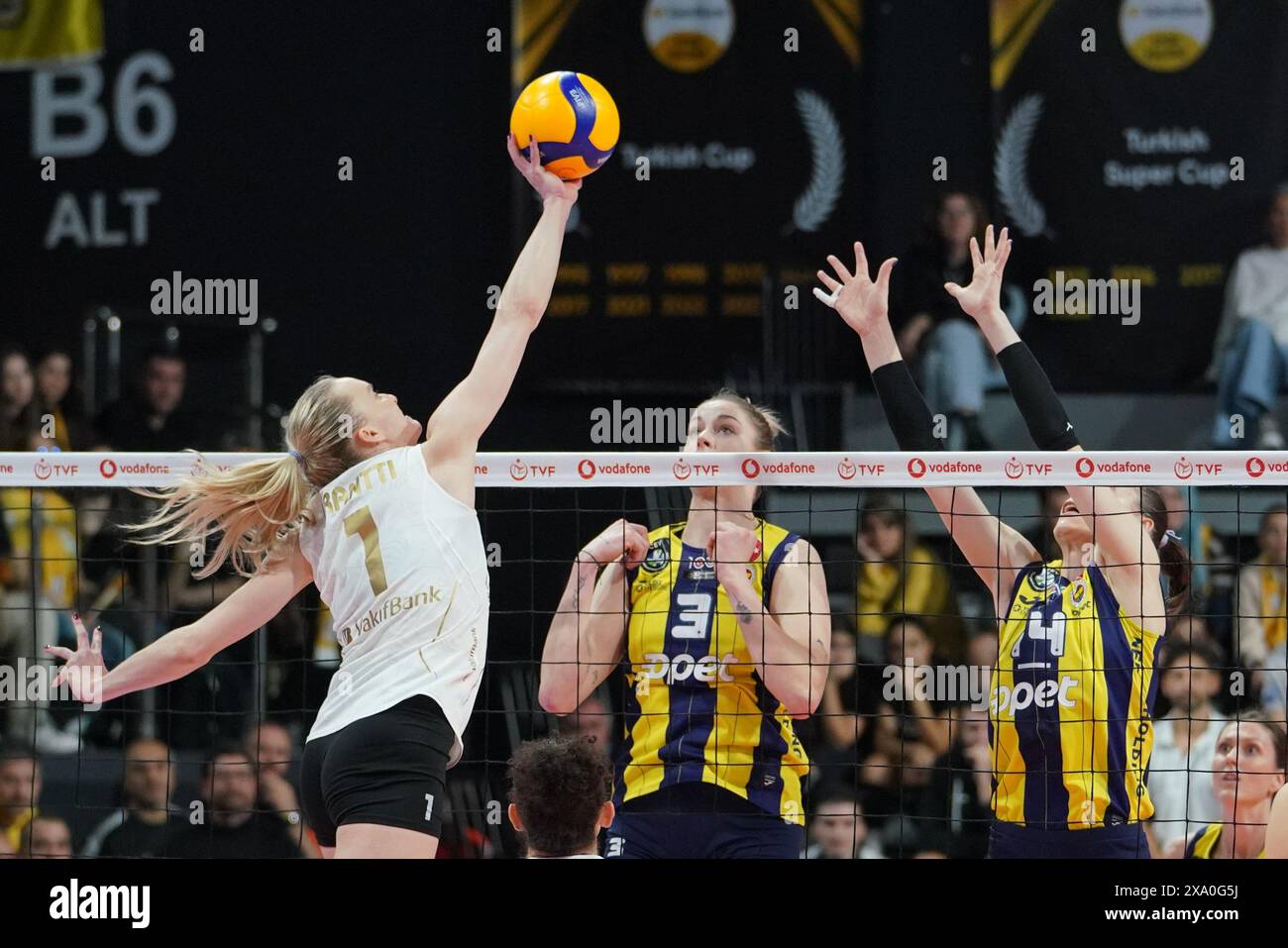 ISTANBUL, TURKIYE - NOVEMBER 24, 2023: Alexandra Frantti in action ...
