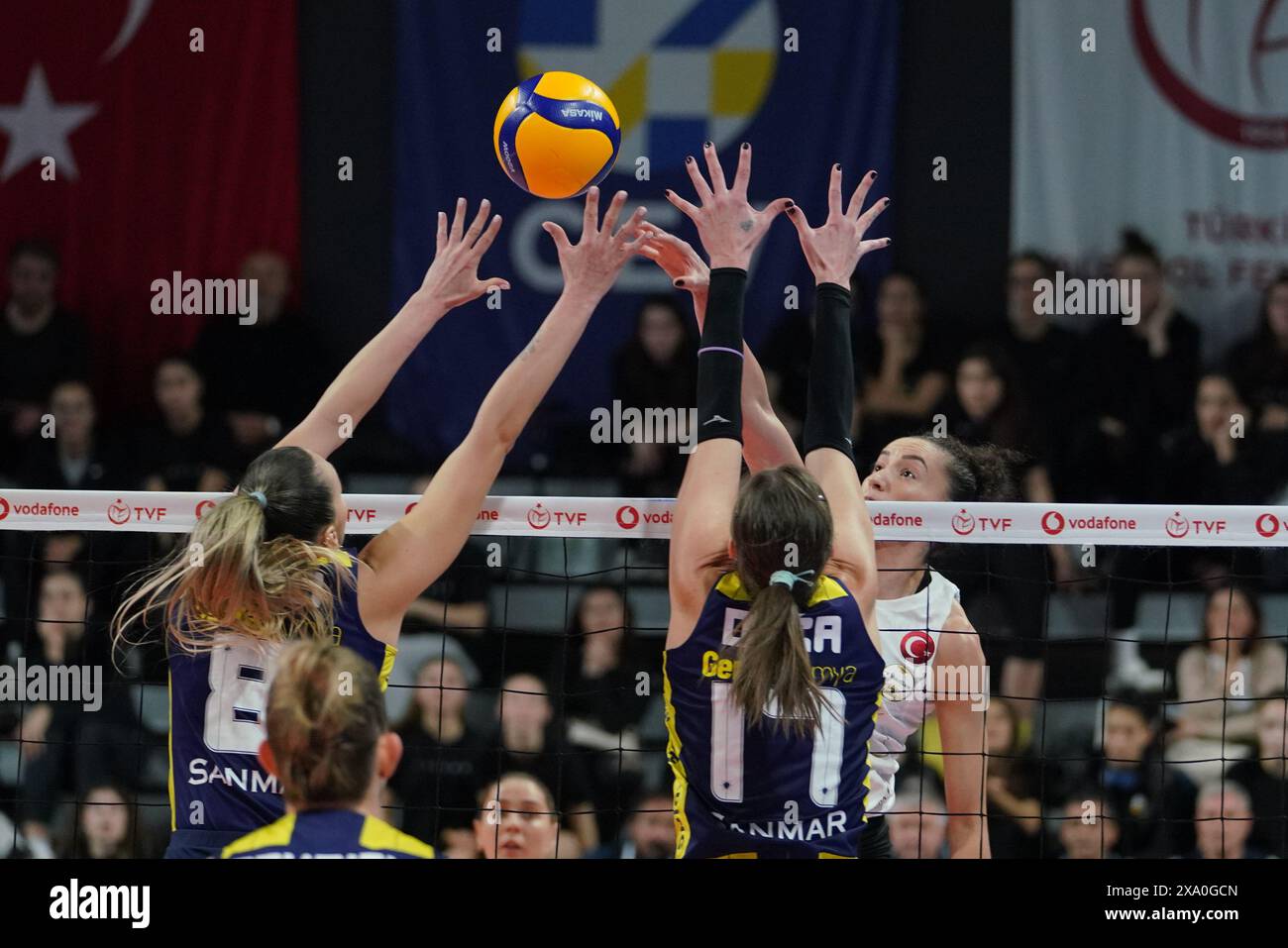 ISTANBUL, TURKIYE - NOVEMBER 24, 2023: Asli Kalac and Bojana Drca in ...