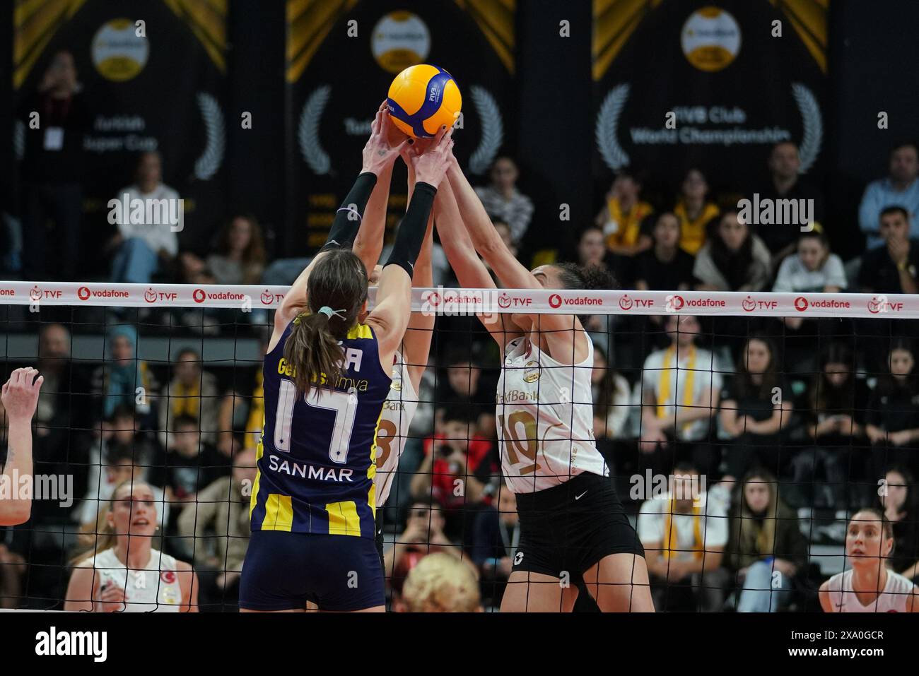 ISTANBUL, TURKIYE - NOVEMBER 24, 2023: Bojana Drca in action during ...