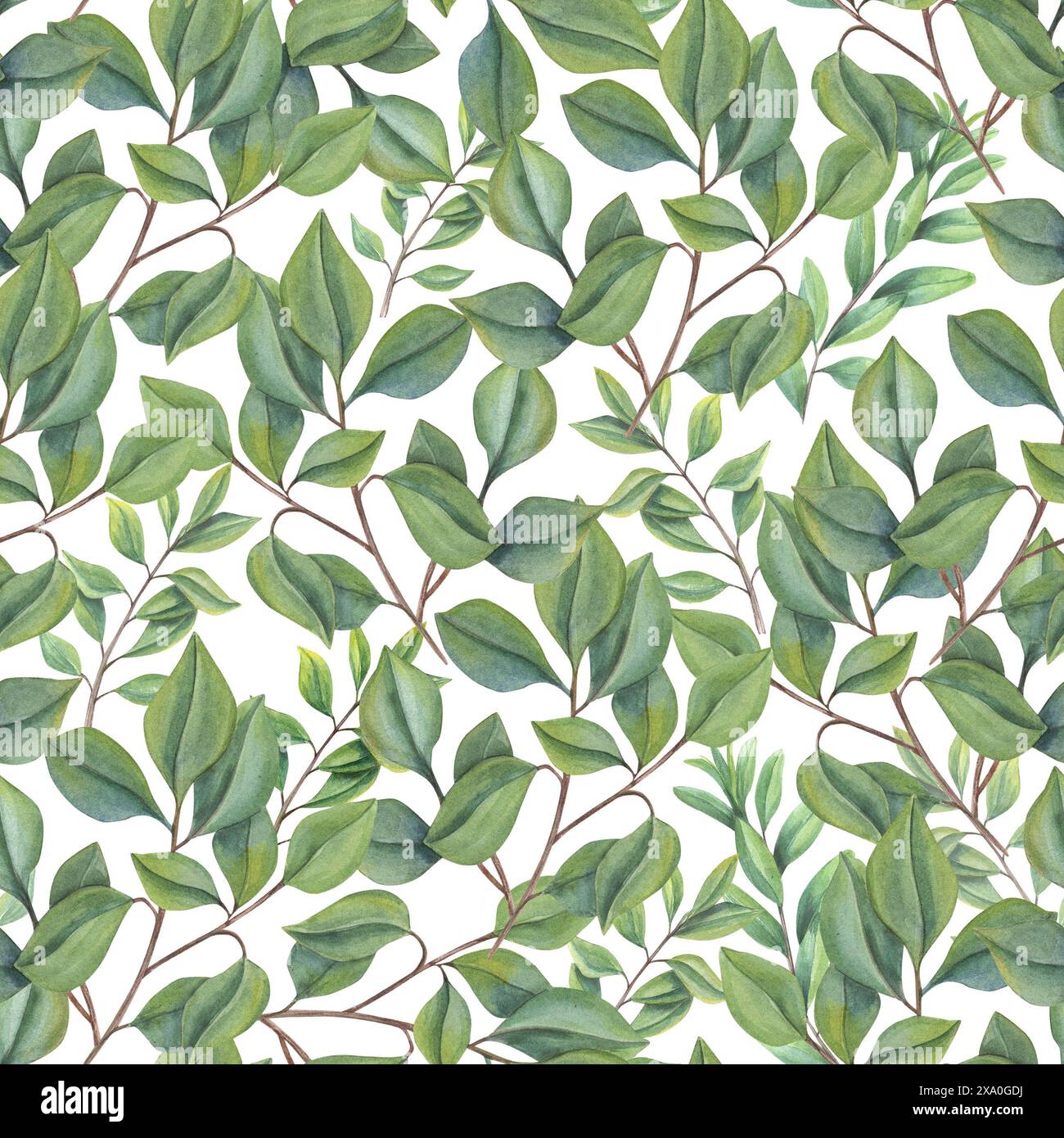 Green abstract leaves. Seamless pattern of lush foliage. Forest leaf ...