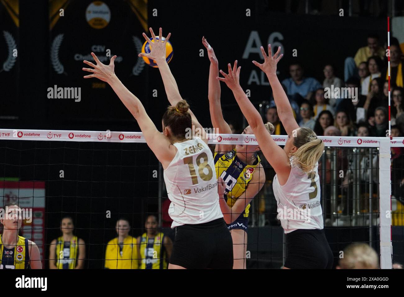 ISTANBUL, TURKIYE - NOVEMBER 24, 2023: Zehra Gunes and Cansu Ozbay in ...