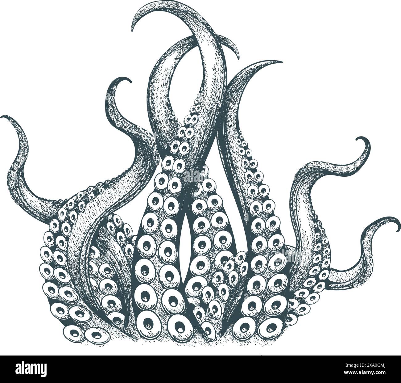 Hand Drawn Engraving Octopus Tentacles Stock Vector Image And Art Alamy