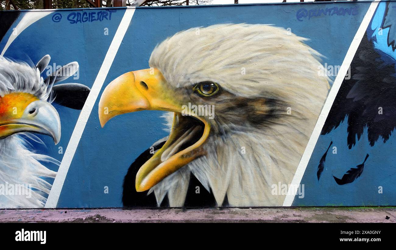 Urban graffiti eagle hi-res stock photography and images - Alamy