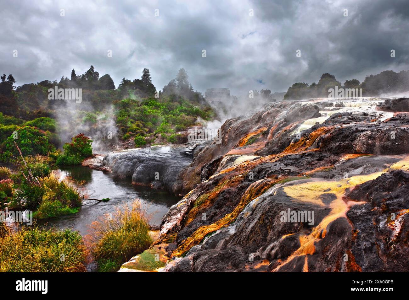The dramatic geysers of Te Puia, Rotorua Geothermal Park, New Zealand ...