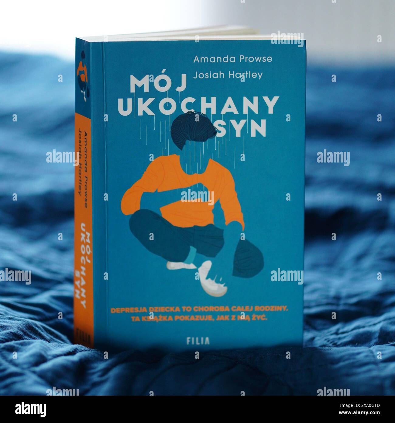 The book My Beloved Son by Josiah Hartley, Amanda Prowse Stock Photo ...