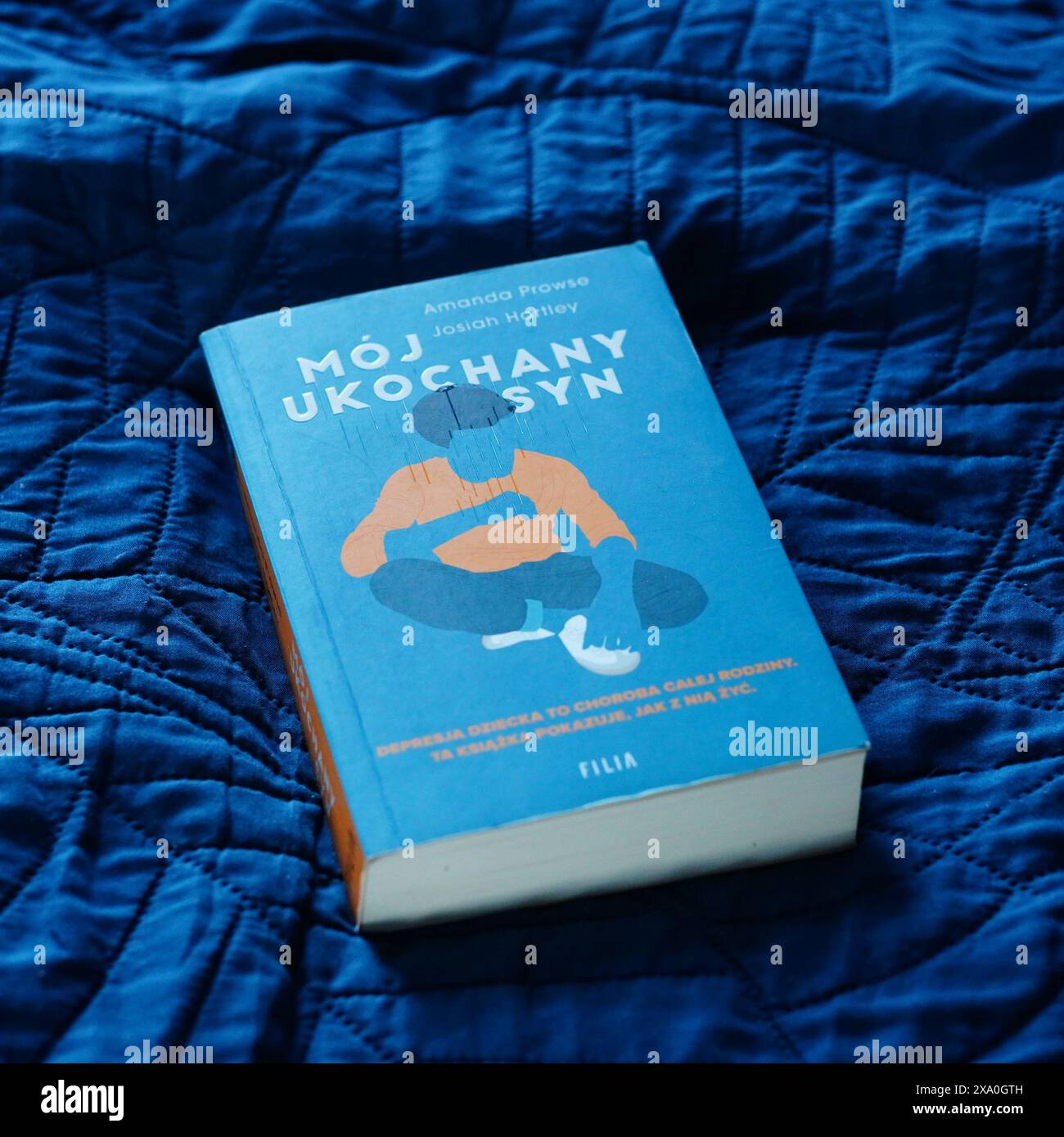 The book My Beloved Son by Josiah Hartley, Amanda Prowse Stock Photo ...