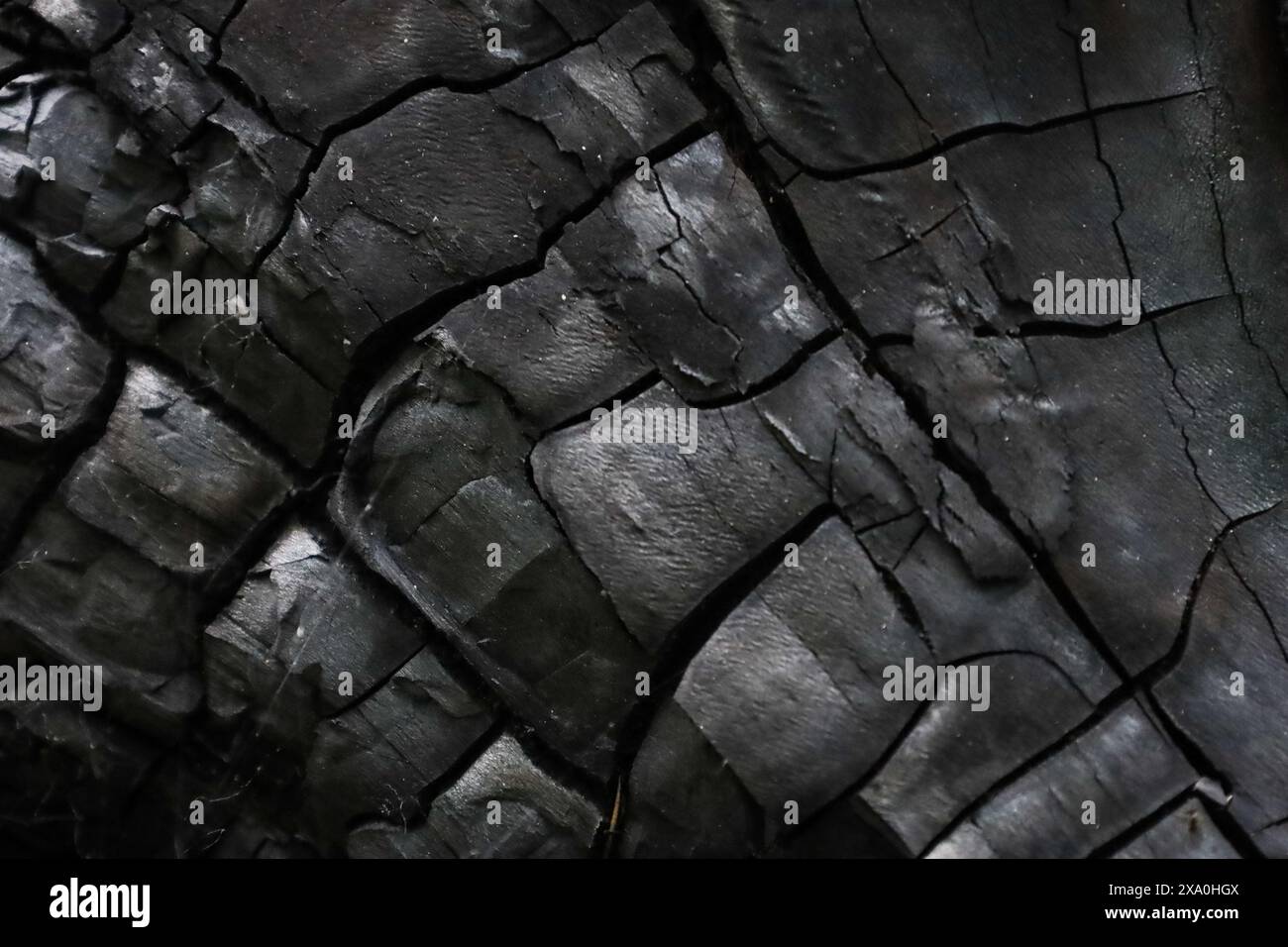 Charred wood with stains and peeling bark Stock Photo - Alamy