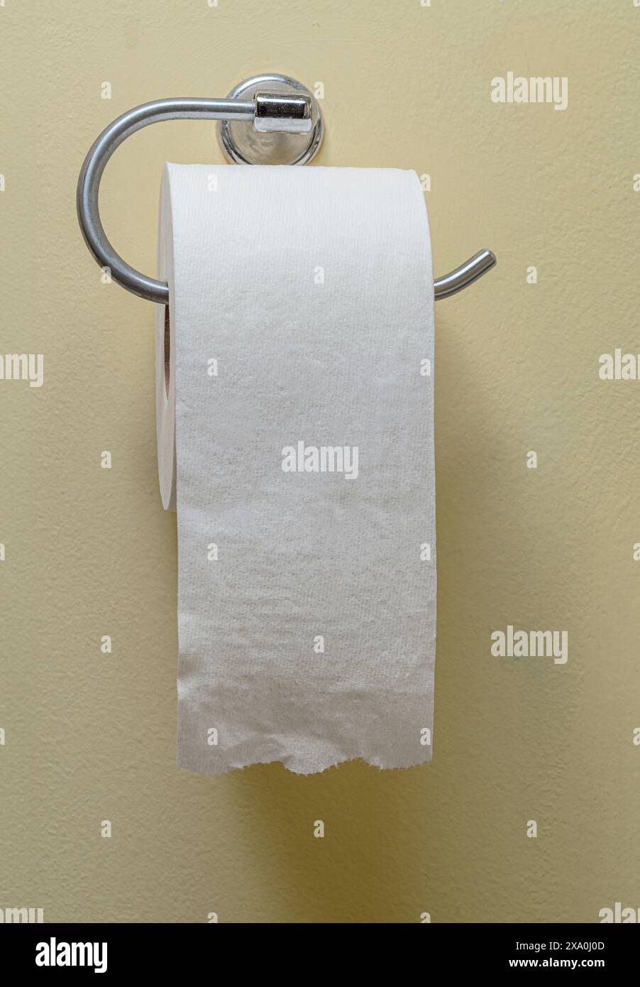 Vertical shot of a full roll of toilet paper on the toilet paper holder ...