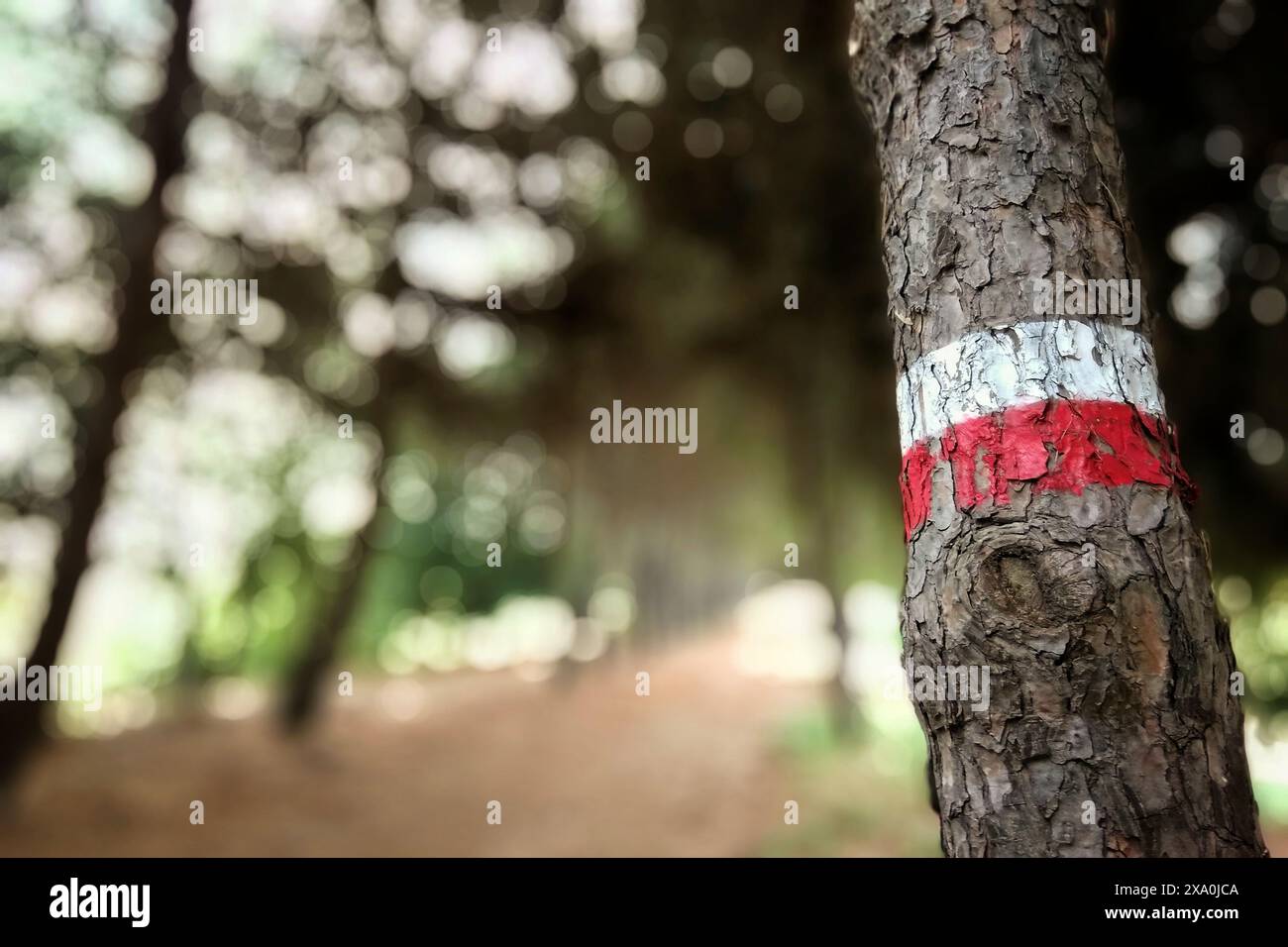 Paint markings hi-res stock photography and images - Alamy