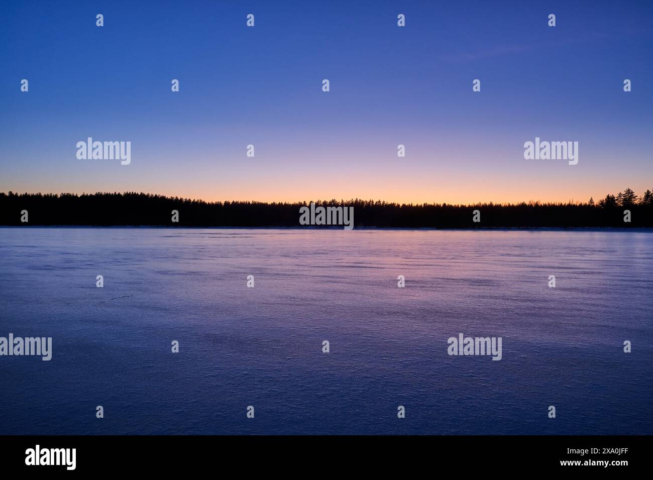 A vibrant blue sunset over the water with evergreen trees Stock Photo ...