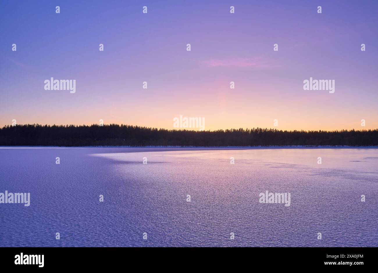 A vibrant blue sunset over the water with evergreen trees Stock Photo ...
