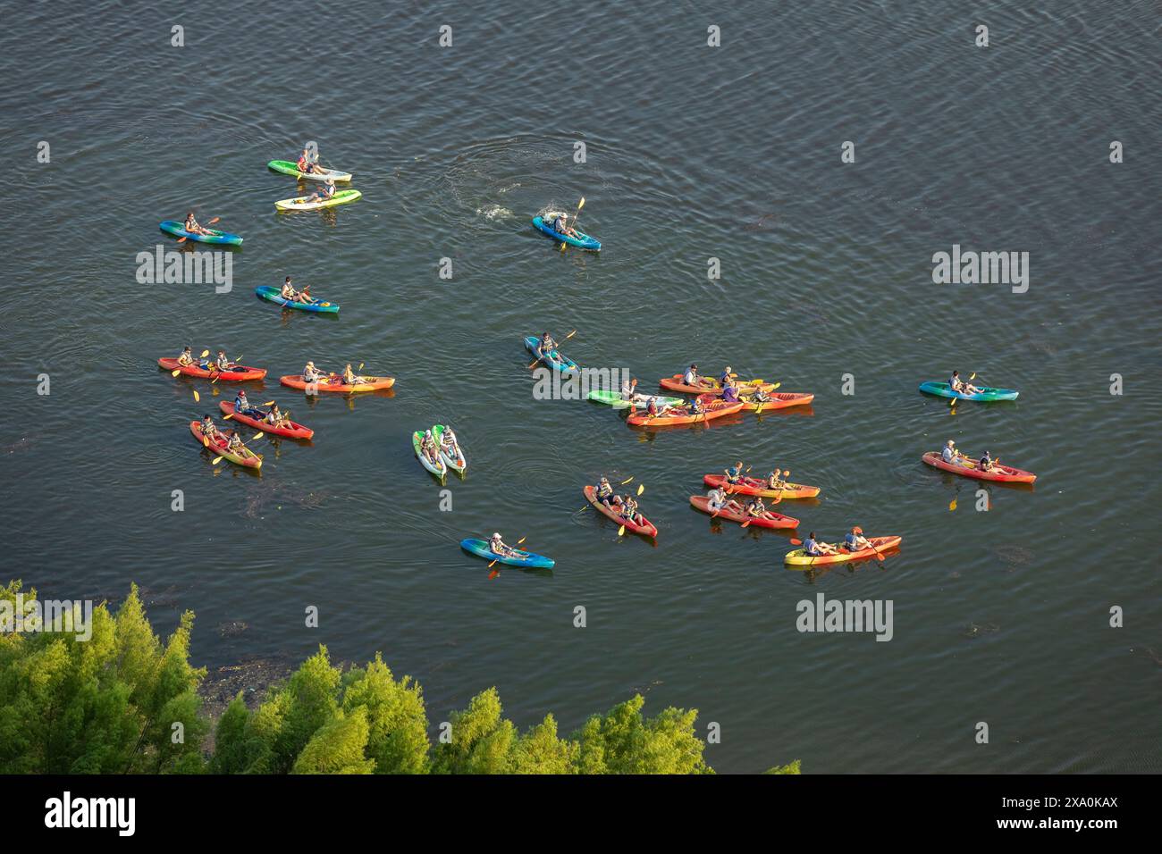 Kayak tour on Ladybird Lake in downtown Austin, Texas Stock Photo - Alamy
