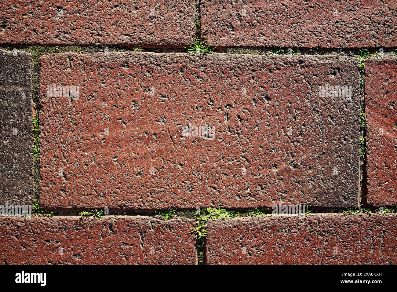 Red brick block with weeds sprouting Stock Photo - Alamy