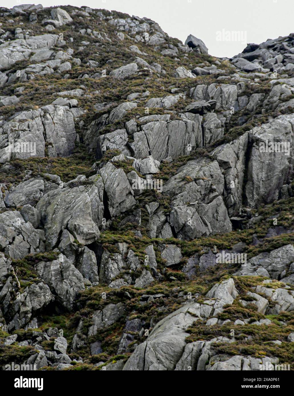 Slope vegetation hi-res stock photography and images - Alamy
