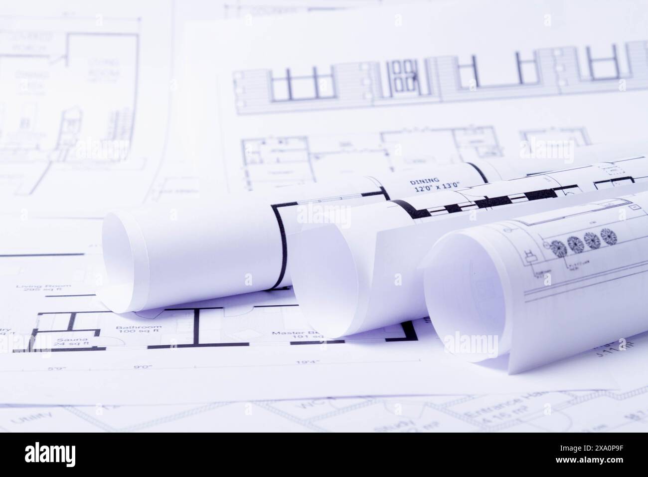 Construction plan. Scheme drawing rolled up in a roll. Home renovation ...