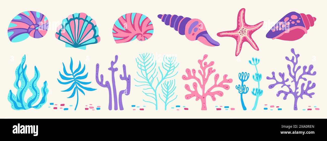 Sea shells, algae and corals hand drawn cartoon set. Sea bottom ...