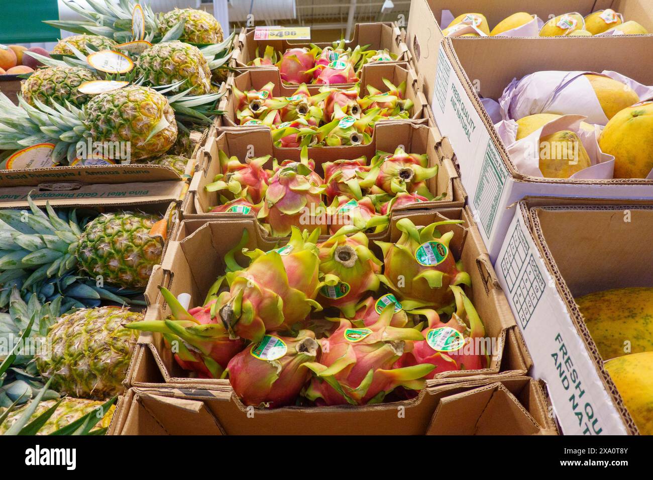 White Dragon fruit sale display at local supermarket grocery store ...