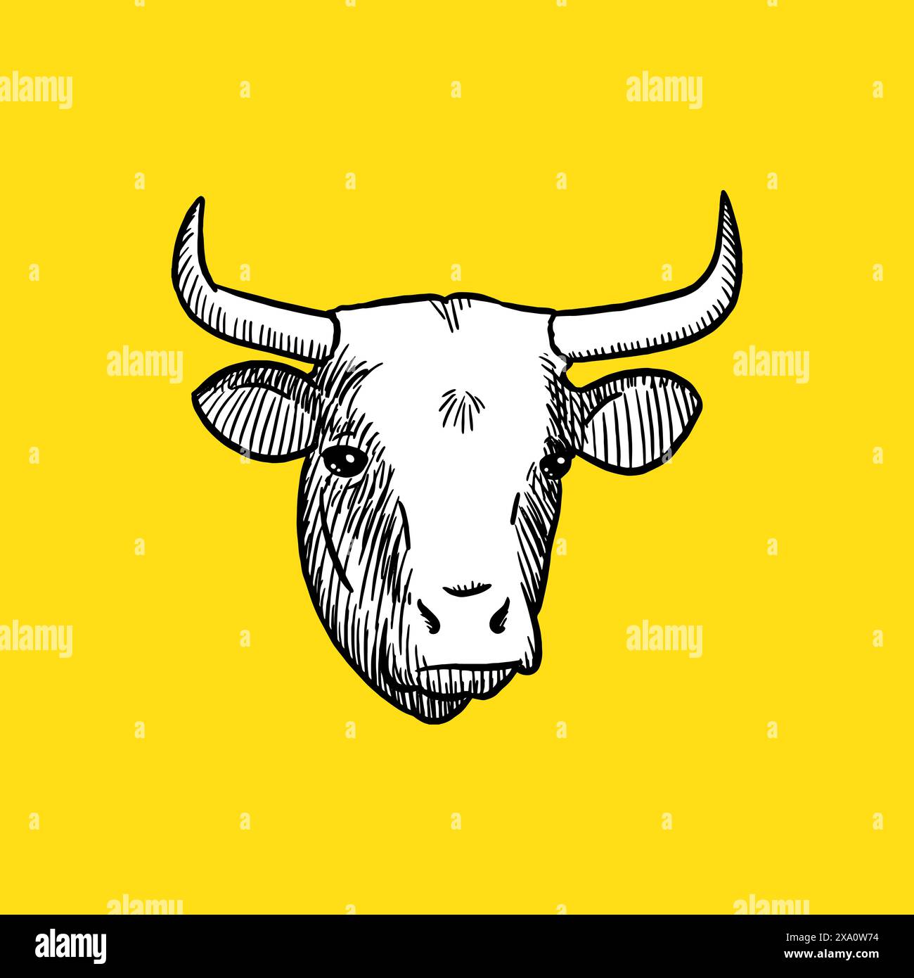 Cow Head From Front. Sketch, Drawing Style. Vector Stock Vector Image ...
