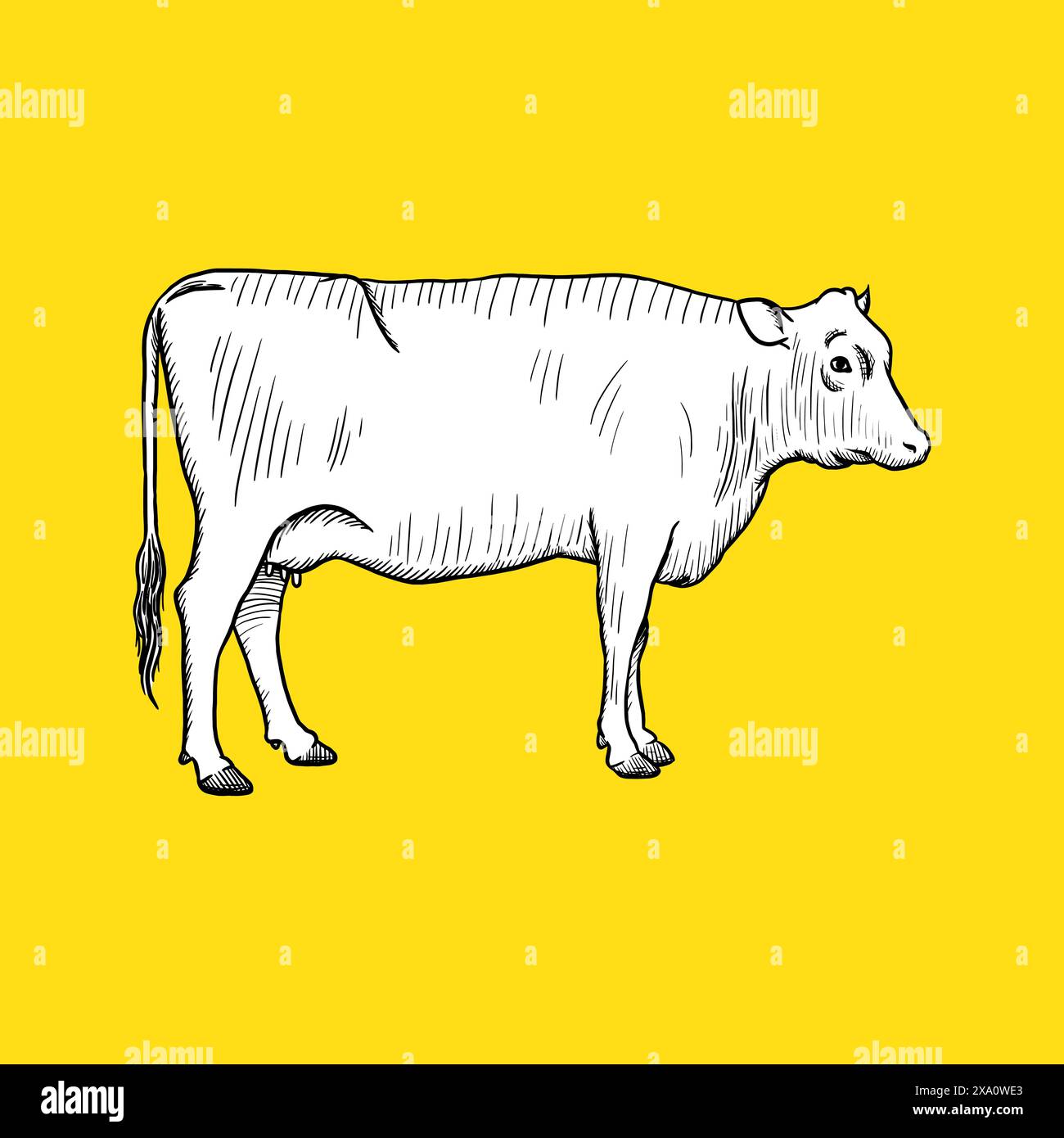 Cow side sketch hi-res stock photography and images - Alamy