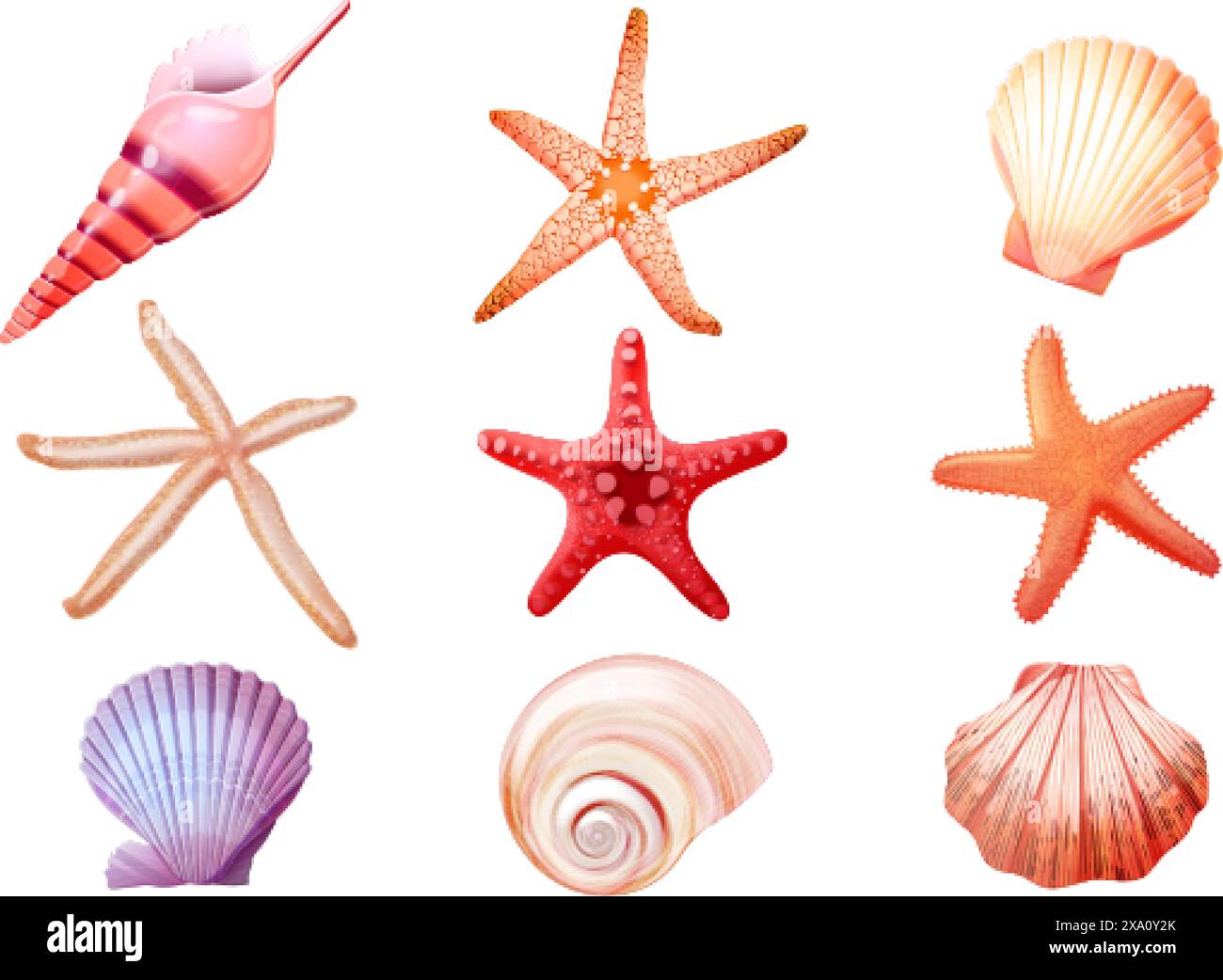 Realistic seashells starfish. 3d star fish clam conch seashell coastal ...