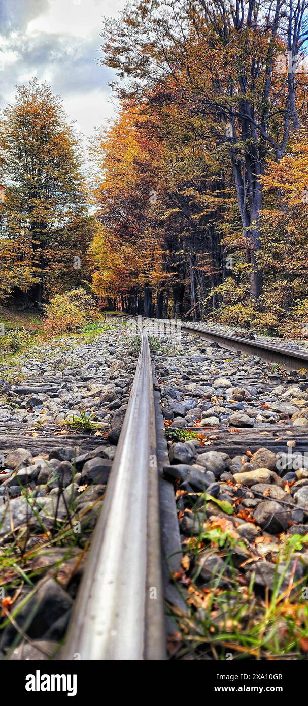 A deserted railway track in fall forest with colorful foliage Stock ...