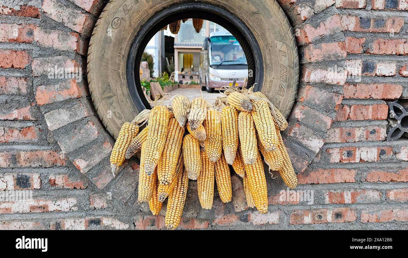 Corn hung on brick wall with window and view outside at Wa Fang Liang ...