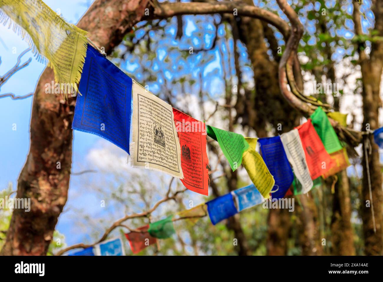 Colorful Nepali and Tibetan prayer flags fluttering in the majestic ...