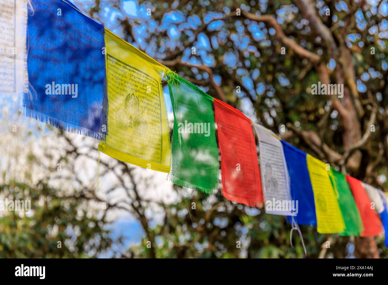 Colorful Nepali and Tibetan prayer flags fluttering in the majestic ...