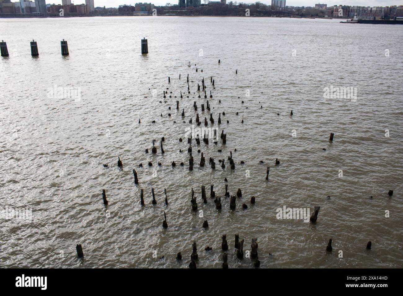 Submerged timber hi-res stock photography and images - Alamy