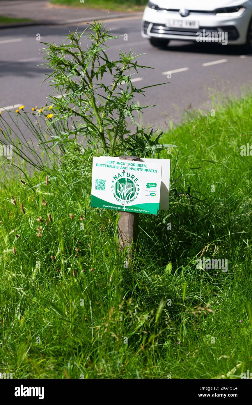 Road-side grass verge left un-mown as a nature friendly project, London ...