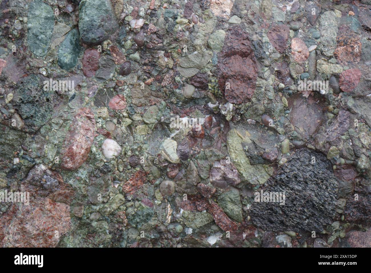 A big rock surrounded by green rocks with a black skateboard on top ...
