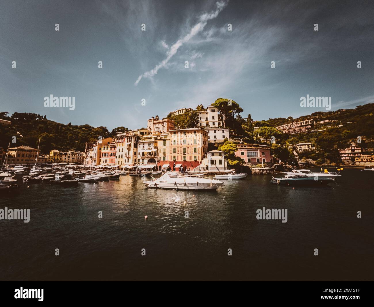 The boats docked by waterfront buildings with trees in background Stock ...